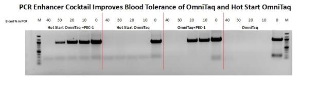PCR Enhancer Cocktail 1 | DNA Polymerase Technology